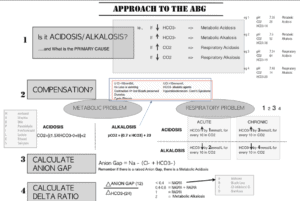 Reading the ABG | Emergency Medicine Education | Resus