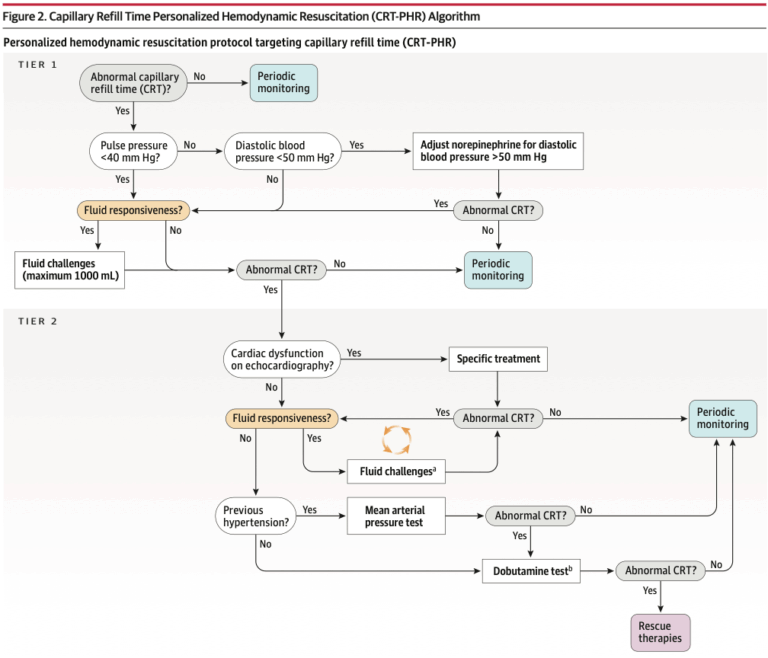 The ANDROMEDA-SHOCK-2 Trial | Resus